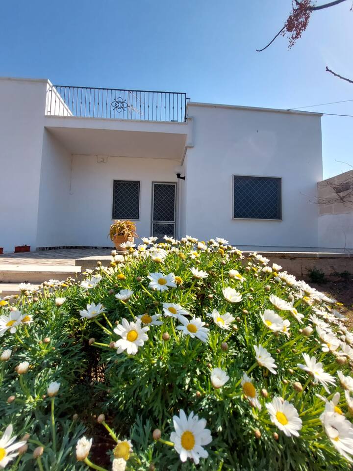 La Casa Degli Alberi - Porto Cesareo