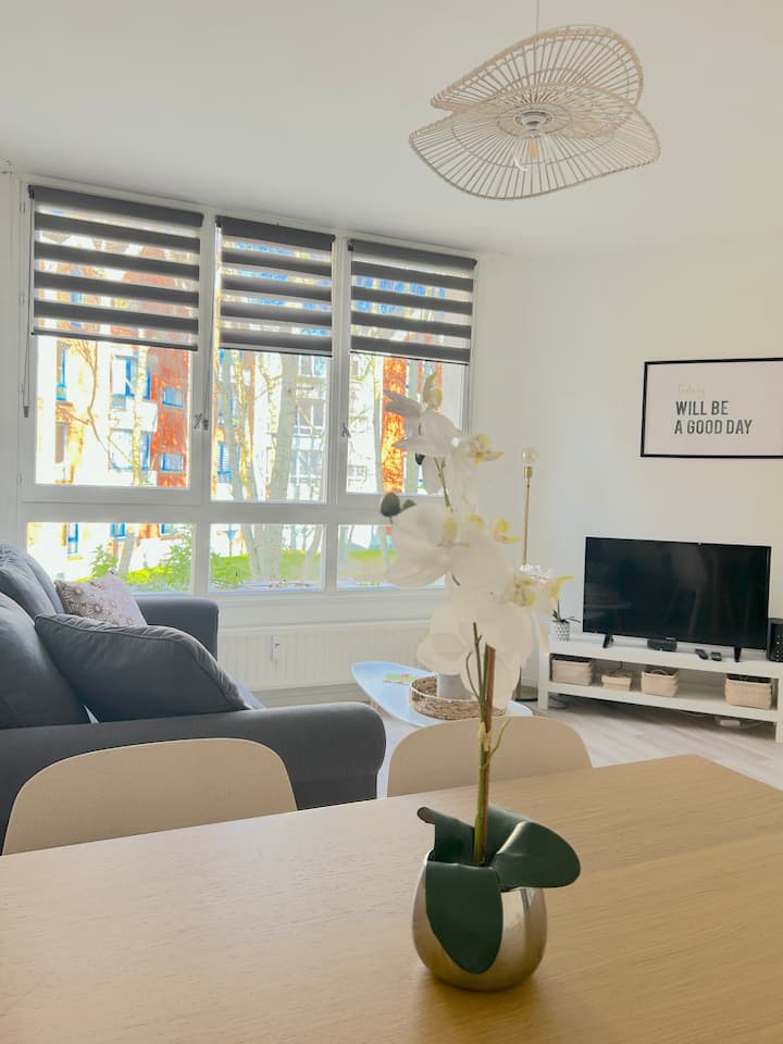 Appartement Jusqu'à 4 Voyageurs - Villeneuve-d'Ascq