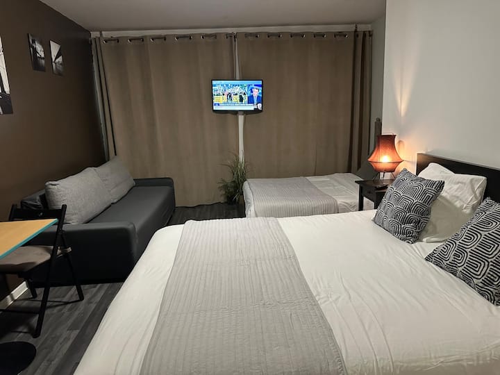 Centre Gare Zenith Aeronef N124 - Lille