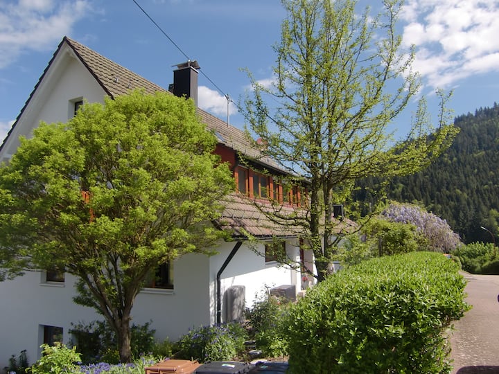 Charmante Fewo In Ruhiger Lage - Baiersbronn
