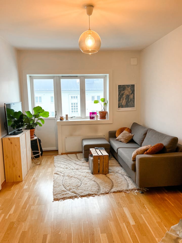 Sjarmerende Toppleilighet Sagene - Oslo