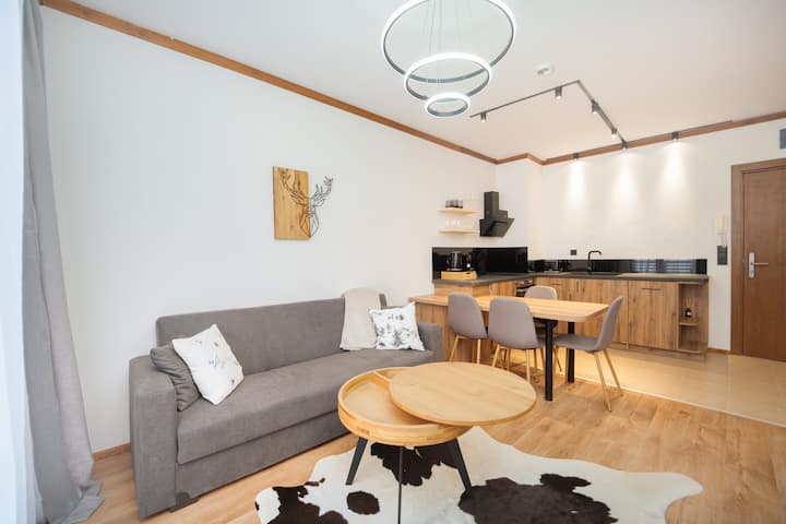 Ski Apartment/ Free Parking/ Shuttle - Bansko