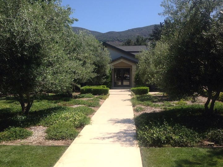 Contemporary Home Downtown Napa - Napa, CA