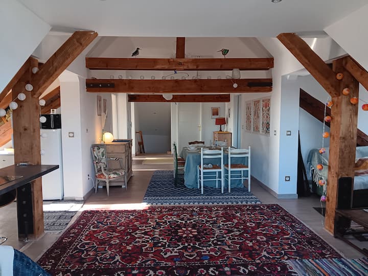 Appartement Charmant Avec Terrasse Parking Gratuit - Colmar