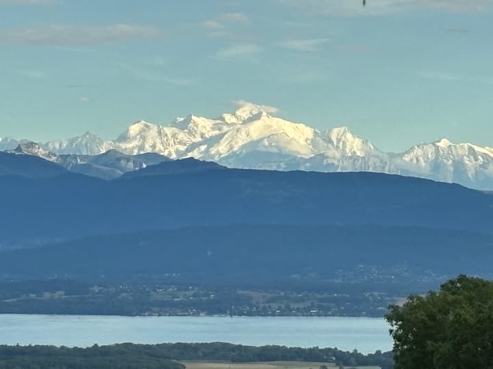 Face Au Lac Et Au Mt Blanc - Nyon