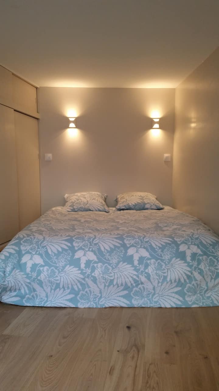 Mairie - Parlement Appart 55 M2 - Rennes