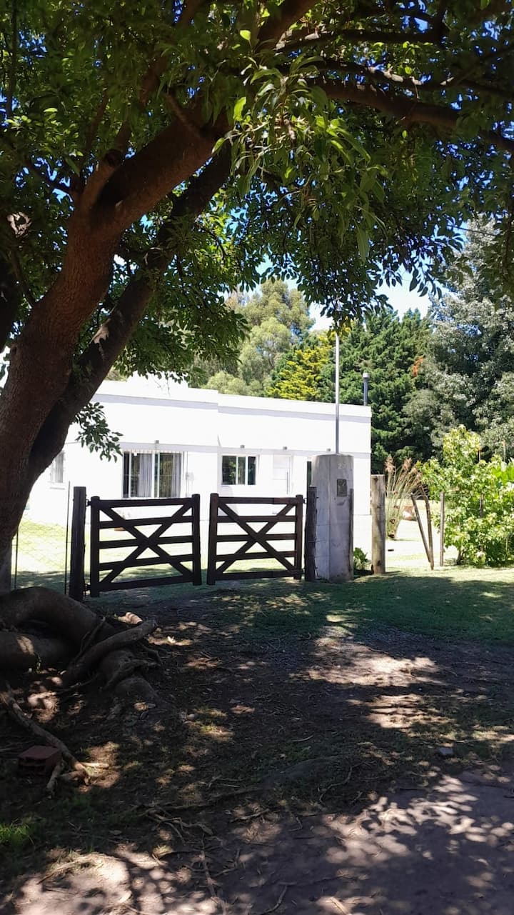 Chascomus : Entre Teros - Chascomús