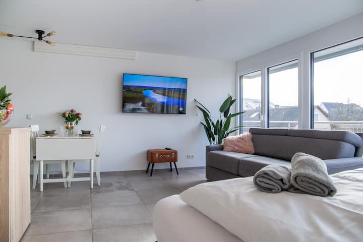 Appartement Balcon Sud & Cuisine Entièrement - Fribourg-en-Brisgau