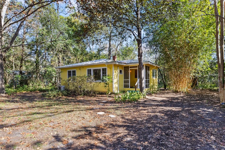 Ayla House, A Cozy Mid-century Home - Gainesville, FL