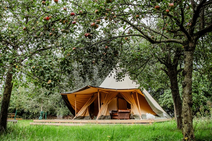 Glamping Utopia: Levi - 2 Personen - Gistel