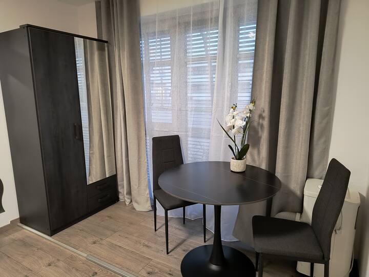 Apartment Regensburg City - Regensburg