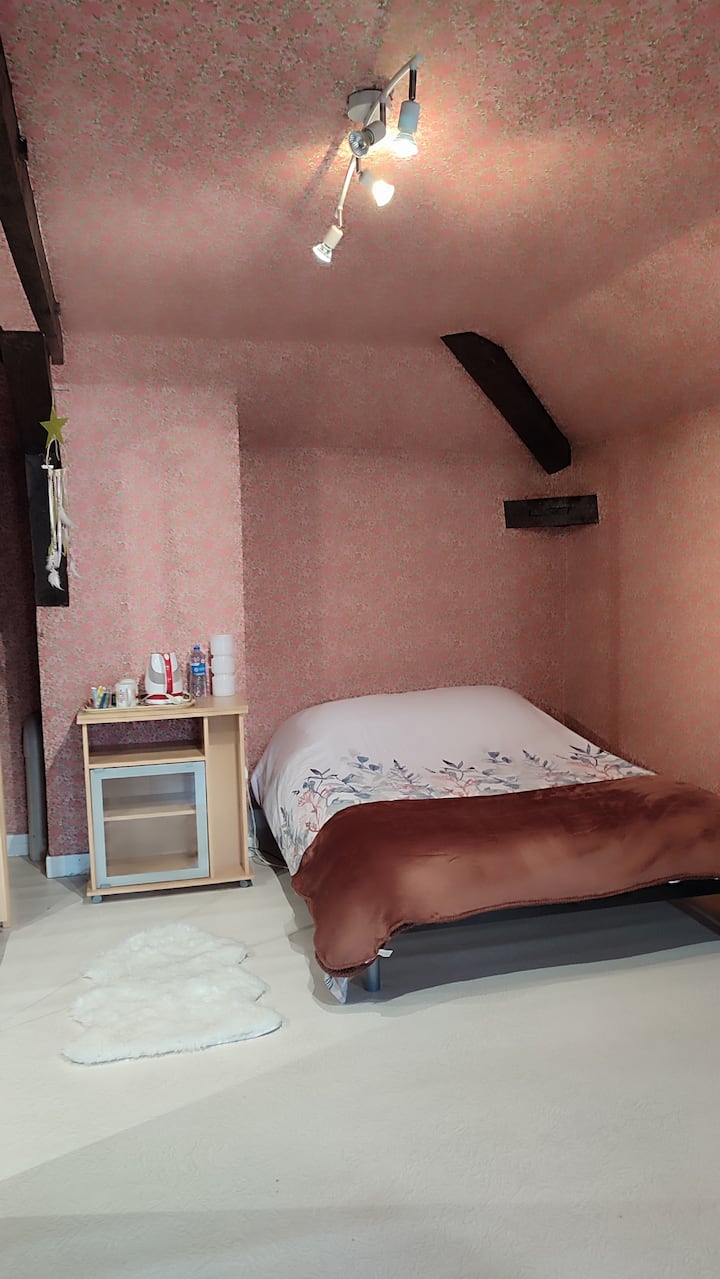 Chambre Chez L'habitant - Saint-Genis-Laval