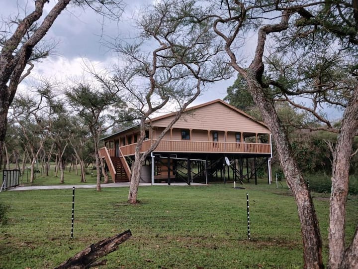 The Vulture Suite - Nelspruit