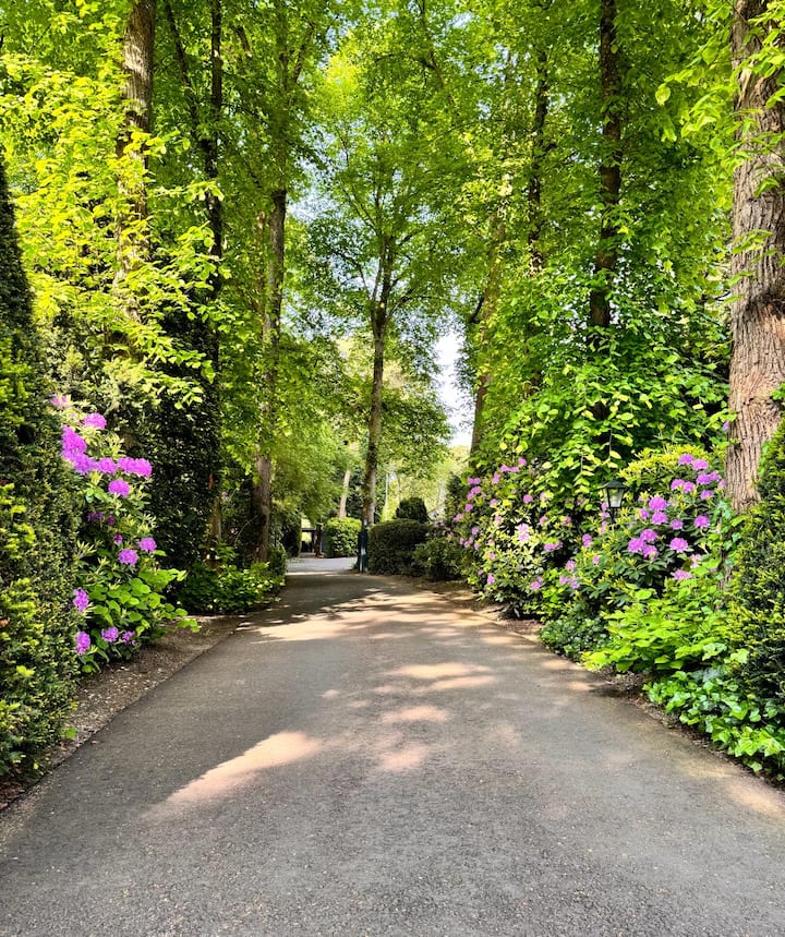 Gastenverblijf In Lommerrijke Buurt In Zeist - Zeist