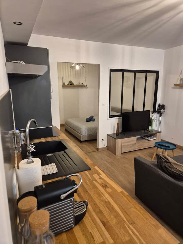 Appartement Cosy Auch - Auch