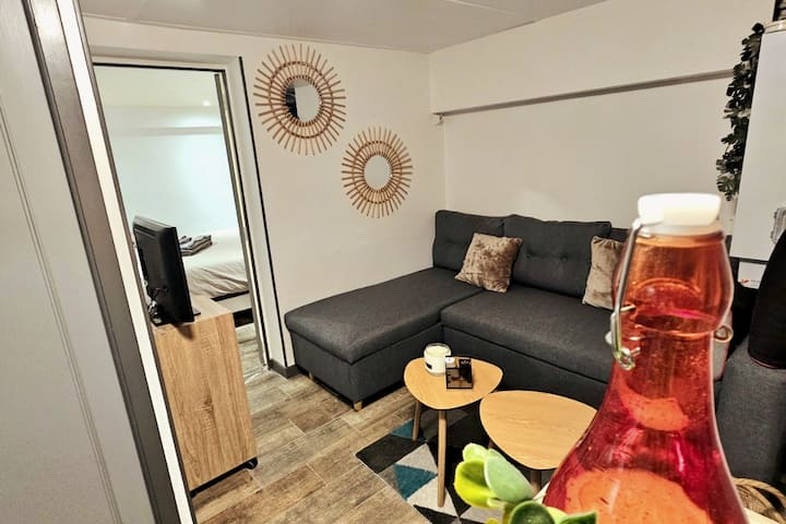 Charmant Studio 30m2 - Clermont-Ferrand