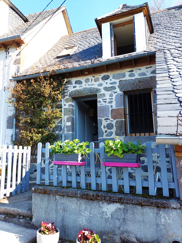 Gîte La Peyre Monts Du Cantal - Salers