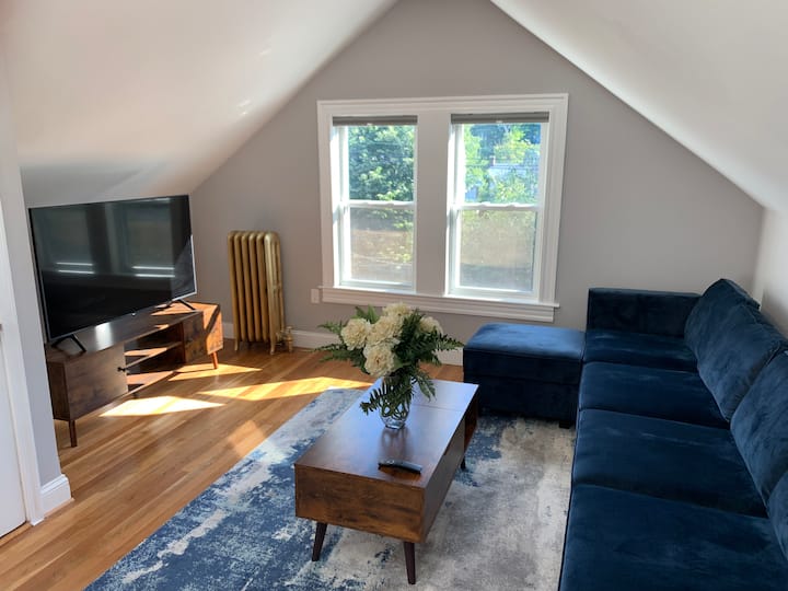 Luxury Brand New 1 Bedroom Apt - Newton, MA