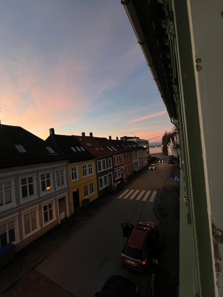 Romslig Leilighet I Nærheten Av Bryggen - Bergen
