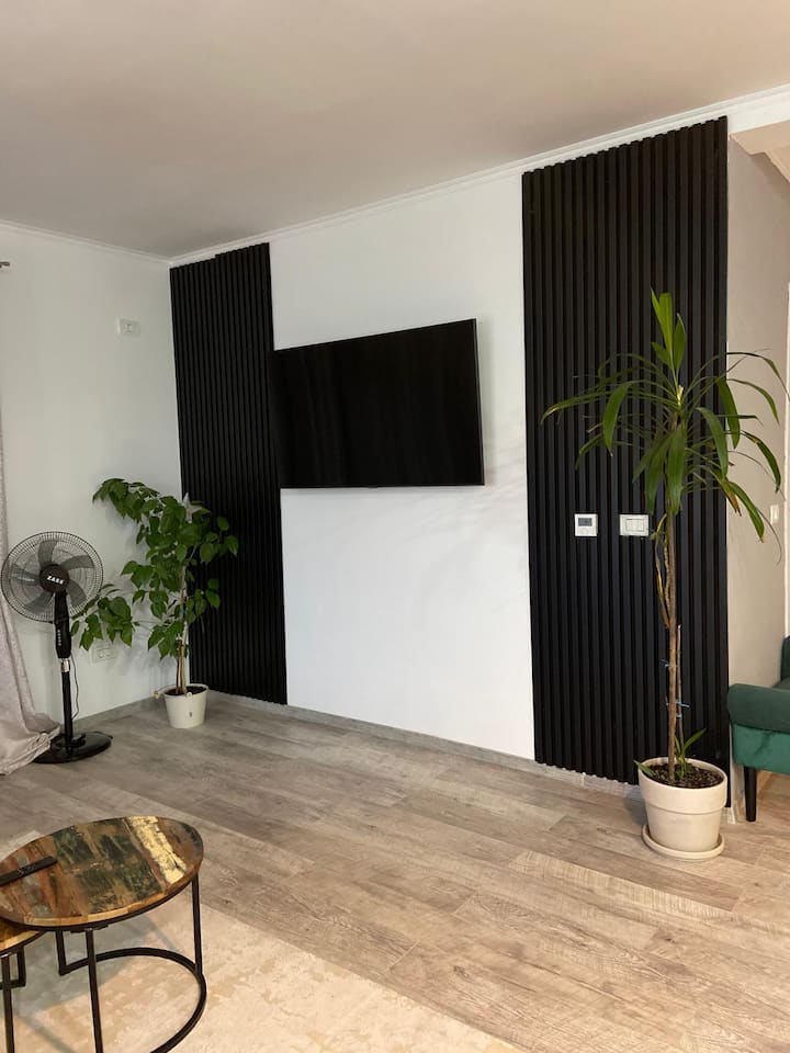 Rental House - ティミショアラ