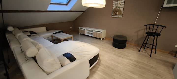 Appartement Cosy Sous Combles - Chalon-sur-Saône