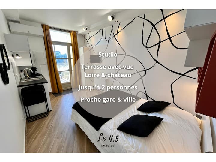 Studio Climatisé Face Loire Et Château, Le 4.5 - Amboise