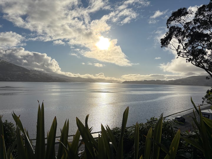 Sunny Waterfront Apartment - Dunedin