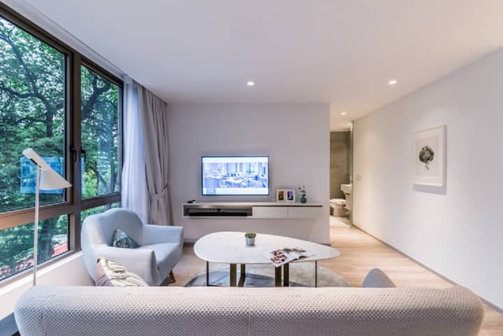 1-bedroom Executive Suite Near Orchard Road - Singapore