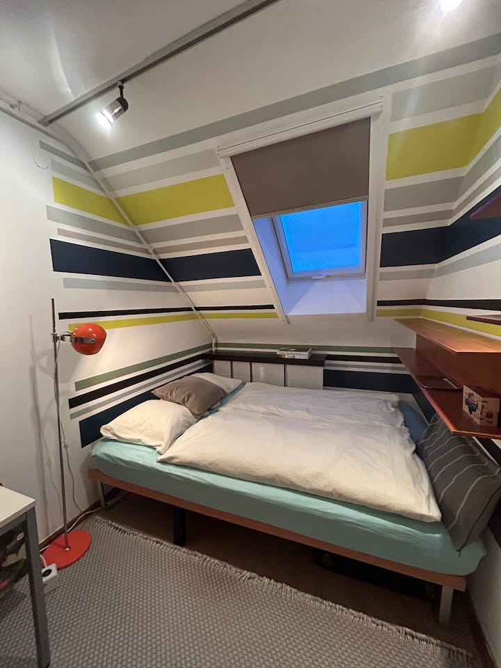 Cool Roof-top Room, Central Historic Downtown - 紐倫堡