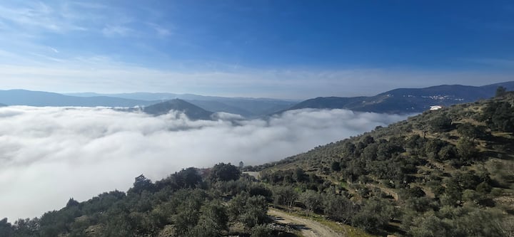 Quinta Vale Das Papas - Vineyard House, Douro - Pinhão
