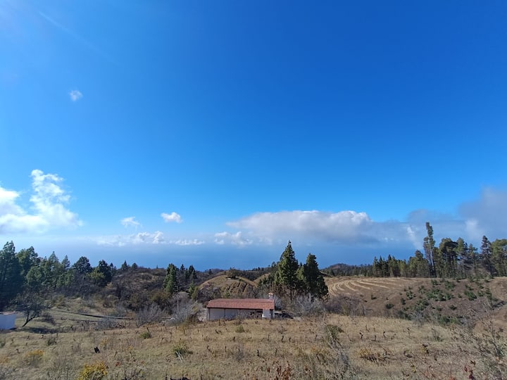 Casa El Algarrobo: Tu Refugio - Barlovento