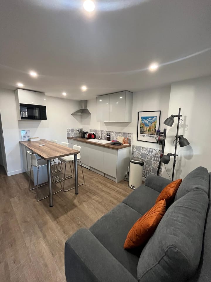 Chez Edouard - 2 Appartements En 1 En Triplex 12 P - 普羅旺斯艾克斯