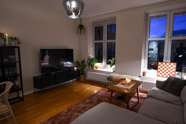 Koselig Sentrumsnær Leilighet - Oslo