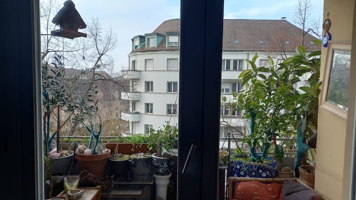 Wohnung In Zentraler Lage Zürich - Zürich
