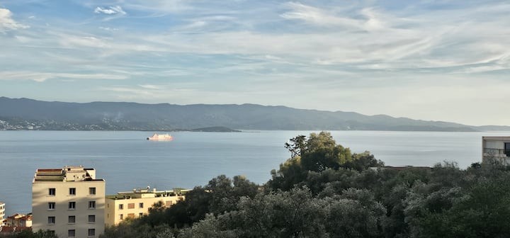 Appart Vue Sur Golfe D'ajaccio - Ajaccio