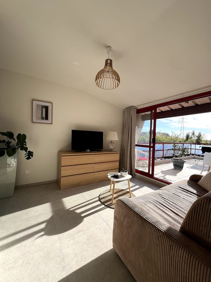 F2 - Clim + Parking + Spa • 10m Arles - 4 Pers - Camargue