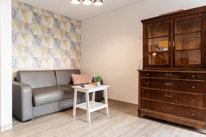 Appartement Zum Roten Lamm – Montagne · Central - Freiburg im Breisgau