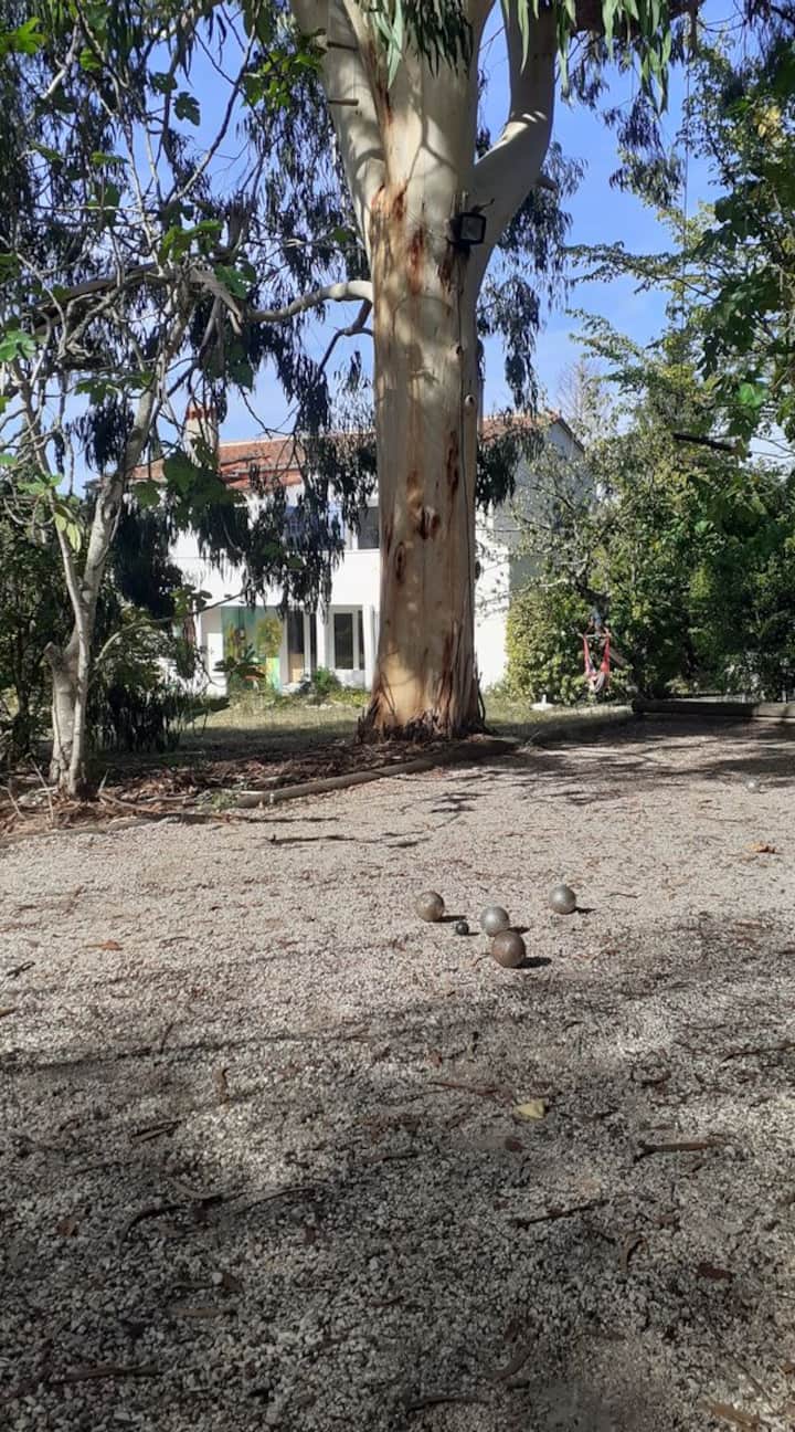 La Petite Clairière - Céret