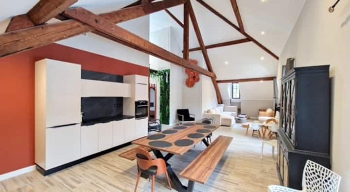 Le Loft Du Centre Ville - Aix-les-Bains