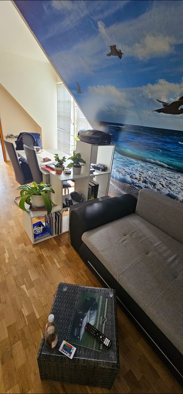 Dachgeschoßwohnung Mit 2 Balkon - Dresden
