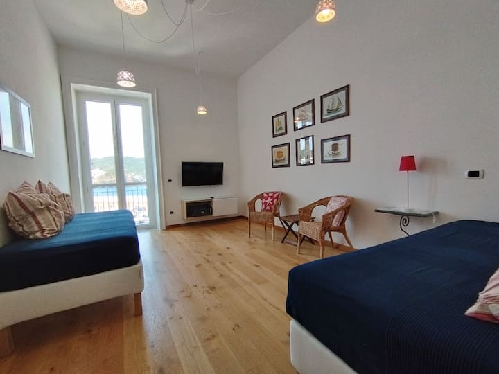 Home 212 - Ponza