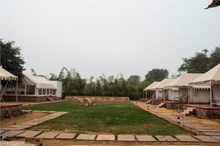 Tents Near Ranthambhore - Sawai Madhopur