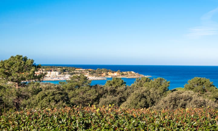 Appartement 2 Vue Mer à Sant Ambroggio - Lumio