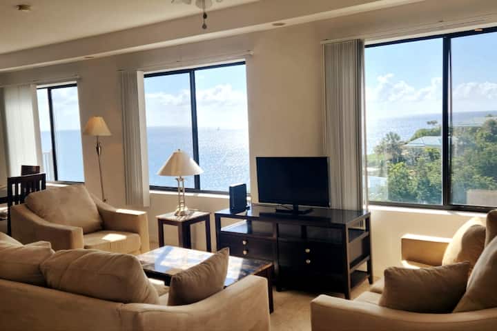Ocean View Manor By The Sea! - Saint Kitts and Nevis