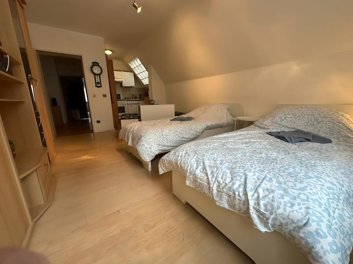 Apartment Am Hang Ii - Im Grünen Von Bad Bentheim - Bad Bentheim