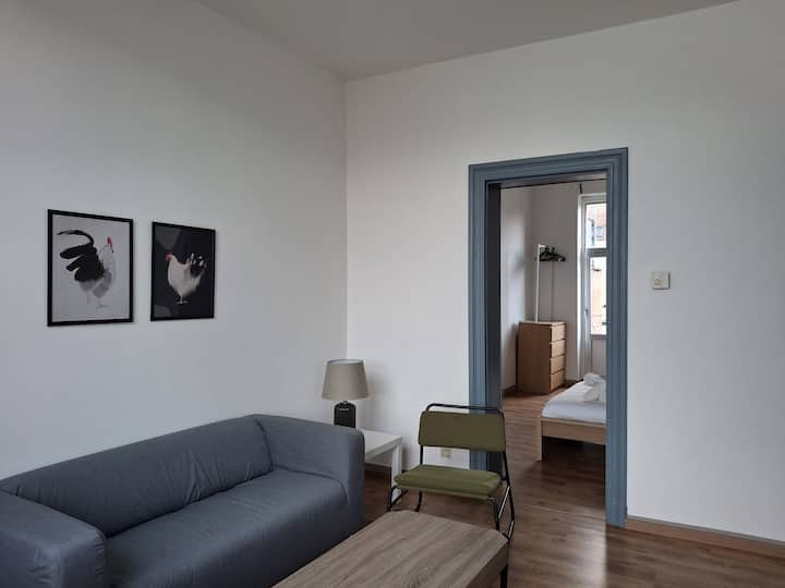 Bright Apartment In Saint-gilles - Brussels