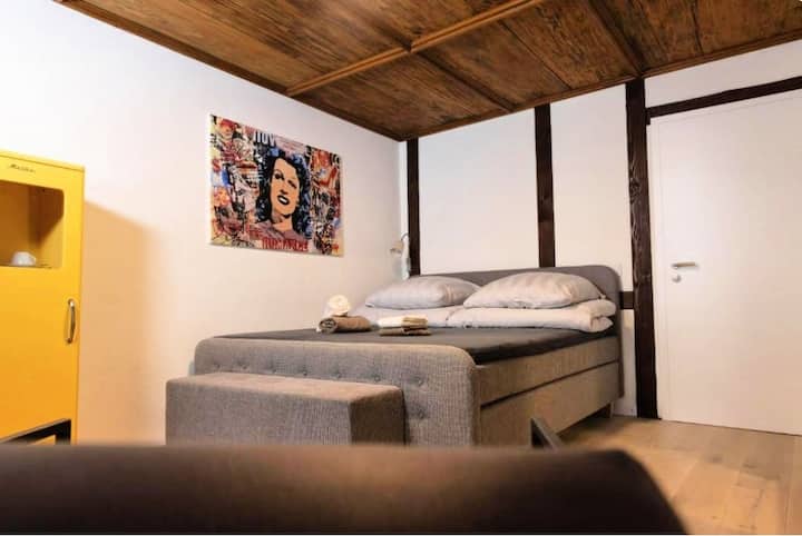 Historical Guesthouse #Selfcheckin #Newlyrenovated - Basel