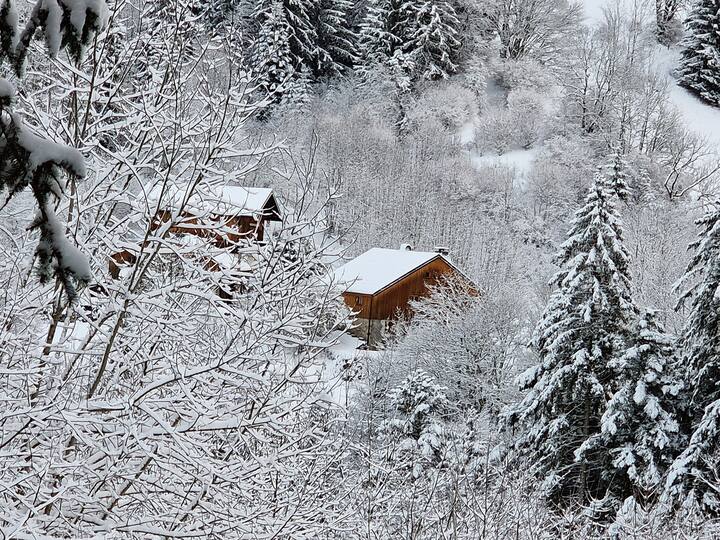 Appartement Sous La Dent D'oche - Bernex