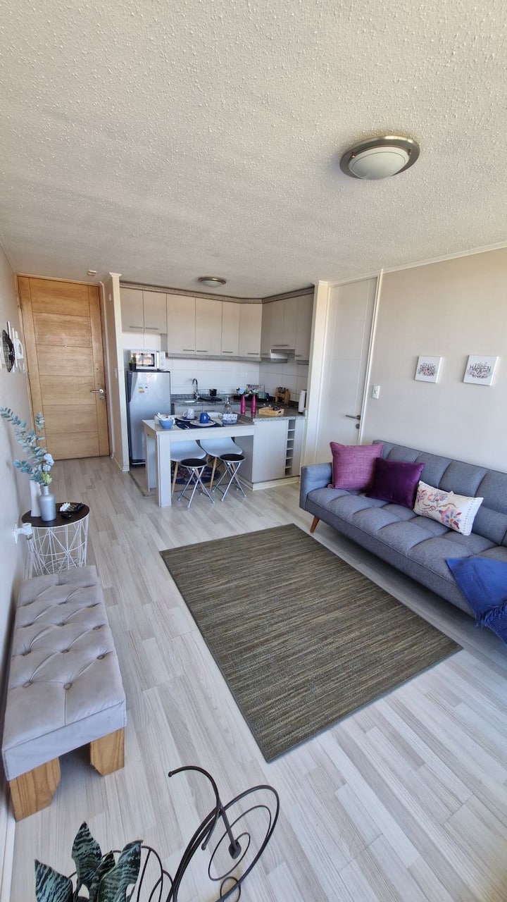 Depto Cerca Del Aeropuerto - Penco