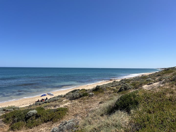Falcon Feels - Mandurah